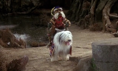 My dog Courage before and after grooming. : r/aww